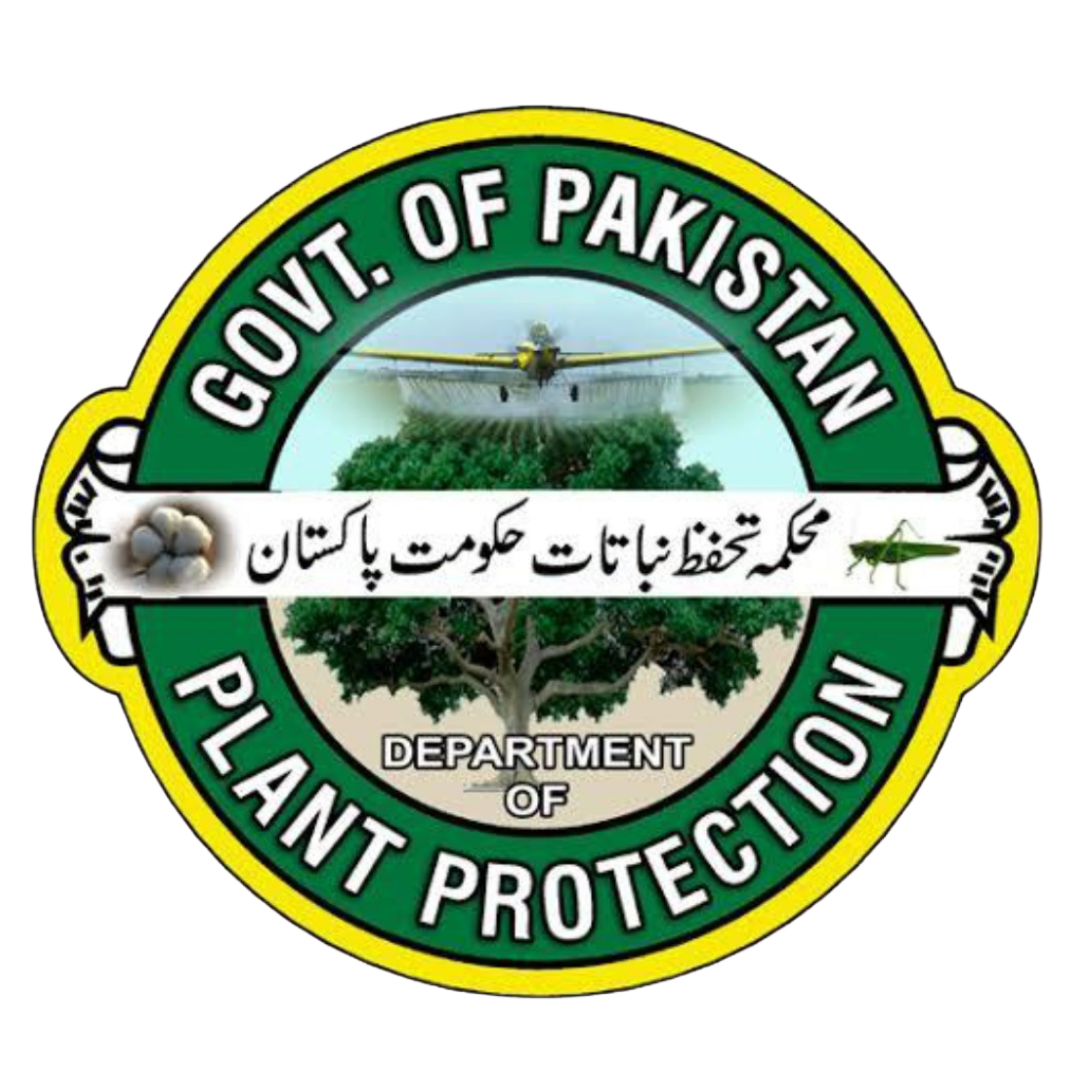 Pakistan Single Window