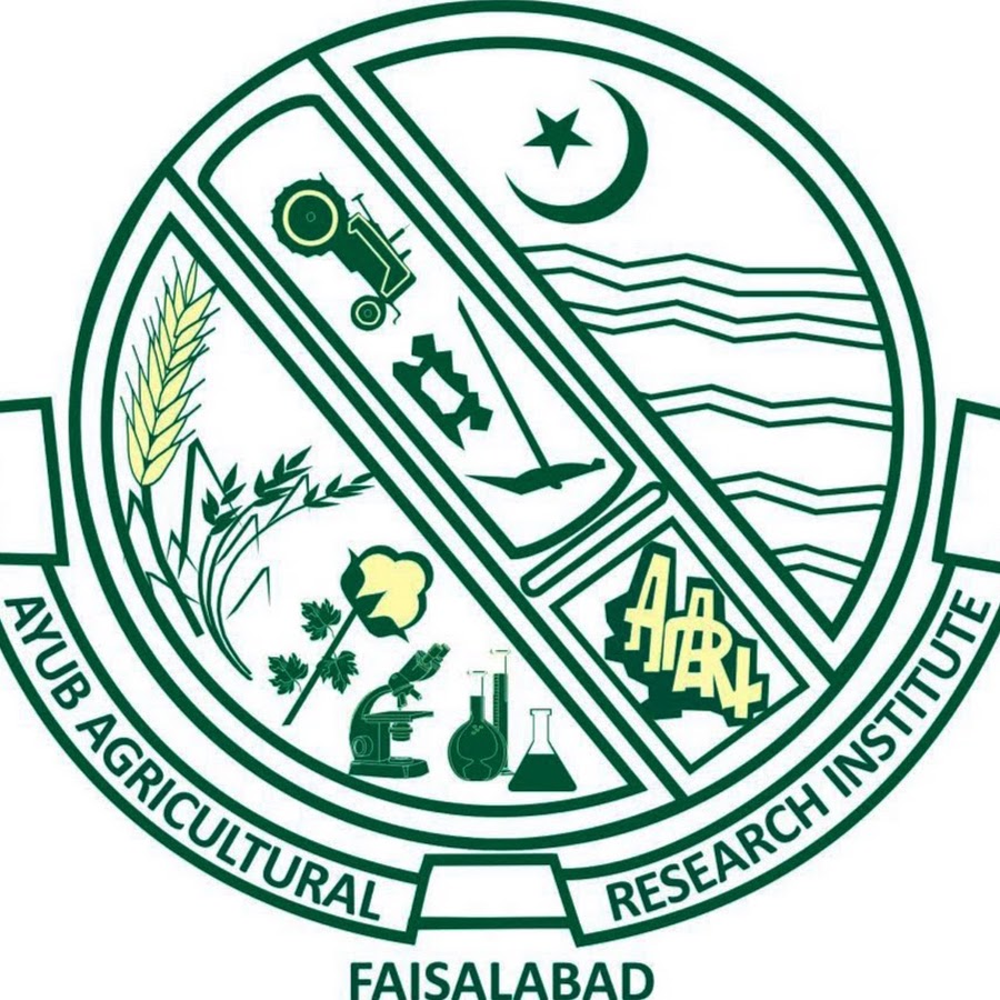 Pakistan Single Window